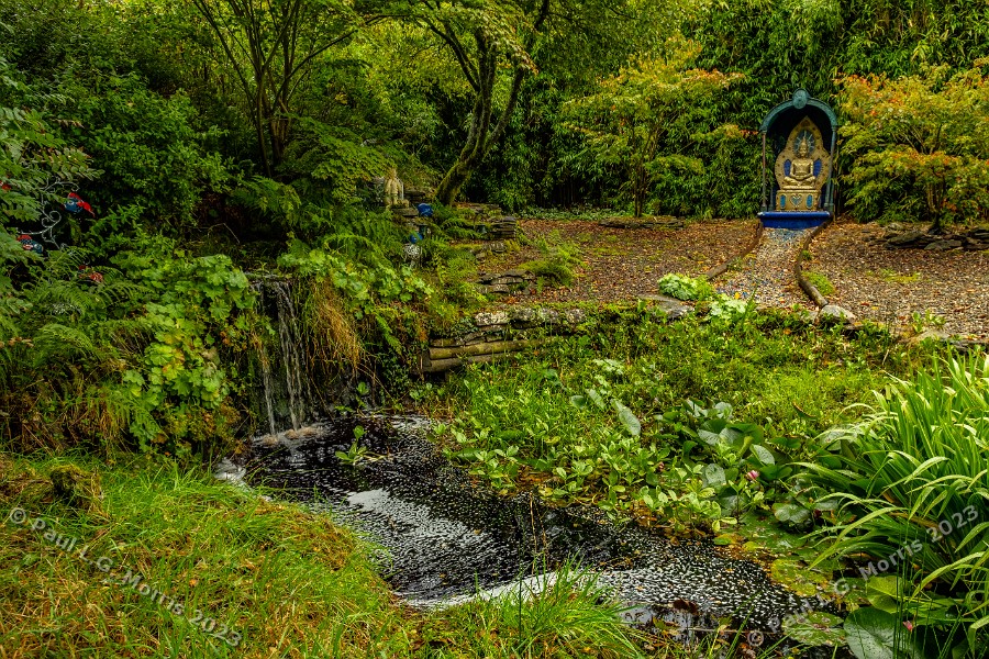 An NGS Garden near Bronant, Wales: Bwlch y Geuffordd – The photography ...