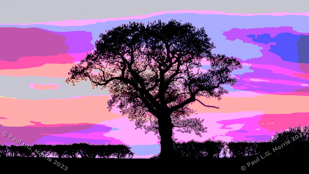 Trying out Posterisation Techniques – The photography of Paul L.G. Morris