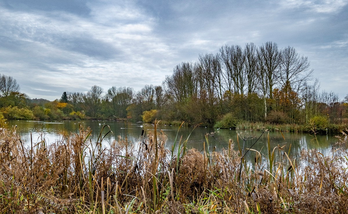 Whitfield Valley Reserve Spring and Autumn – The photography of Paul L ...